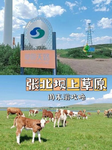 张北附近有哪些景点_张北草原天路自驾攻略-第3张图片-山城妙识 张北附近有哪些景点_张北草原天路自驾攻略-第3张图片-山城妙识