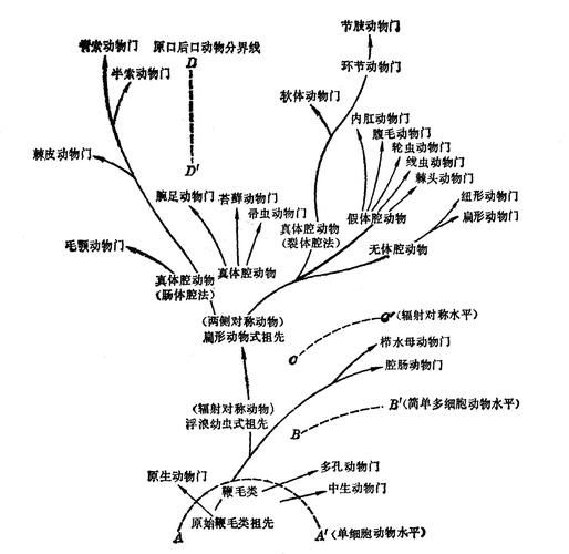 动物地理区划有哪些_全球六大界如何划分-第3张图片-山城妙识 动物地理区划有哪些_全球六大界如何划分-第3张图片-山城妙识