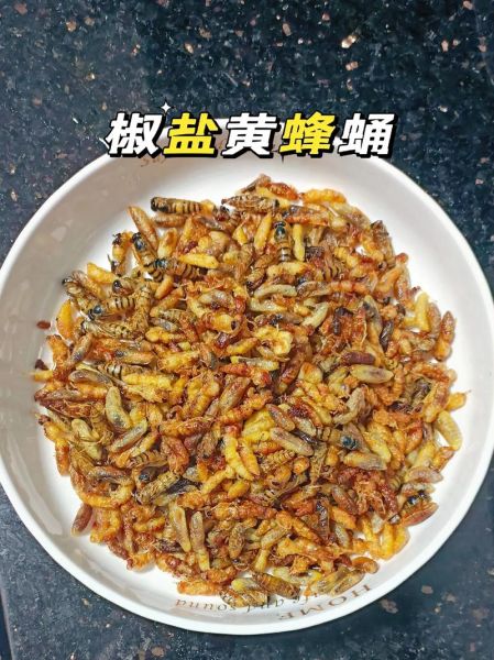 蜂蛹怎么做好吃_蜂蛹的家常做法大全-第2张图片-山城妙识 蜂蛹怎么做好吃_蜂蛹的家常做法大全-第2张图片-山城妙识