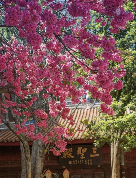 西昌旅游必去景点有哪些_邛海泸山怎么玩-第2张图片-山城妙识 西昌旅游必去景点有哪些_邛海泸山怎么玩-第2张图片-山城妙识