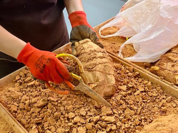 叫花鸡怎么做_正宗叫花鸡做法视频-第1张图片-山城妙识 叫花鸡怎么做_正宗叫花鸡做法视频-第1张图片-山城妙识