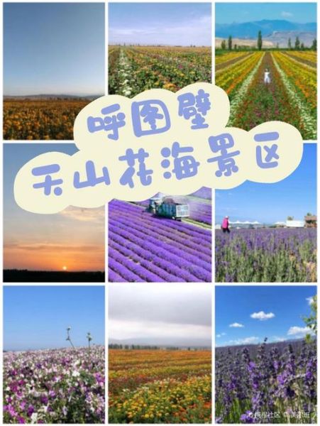 呼图壁景点有哪些_呼图壁一日游怎么安排-第3张图片-山城妙识