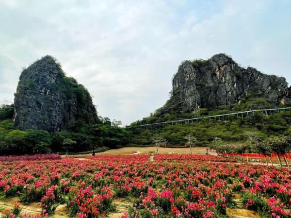 阳春旅游景点有哪些_阳春最值得去的地方-第1张图片-山城妙识 阳春旅游景点有哪些_阳春最值得去的地方-第1张图片-山城妙识