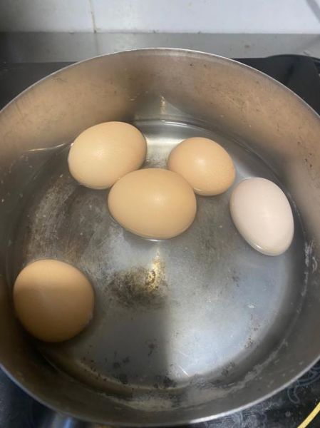 八爪鱼炖肉怎么做_八爪鱼炖肉的家常做法-第1张图片-山城妙识