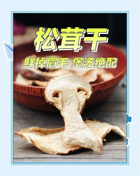 干松茸怎么泡发_干松茸的家常做法-第1张图片-山城妙识