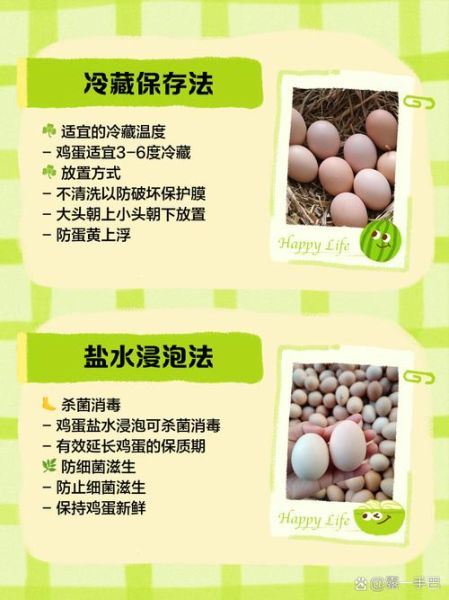 冷冻鸡蛋怎么做_冷冻鸡蛋能保存多久-第1张图片-山城妙识