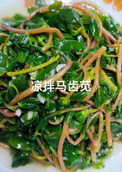 马齿苋凉拌怎么做_马齿苋凉拌需要焯水吗-第1张图片-山城妙识