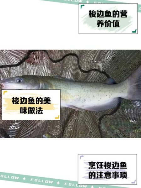 梭边鱼怎么做好吃_梭边鱼的家常做法-第2张图片-山城妙识