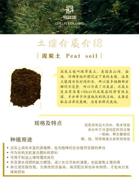 黄土高原适合种什么农作物_如何改良土壤-第1张图片-山城妙识 黄土高原适合种什么农作物_如何改良土壤-第1张图片-山城妙识