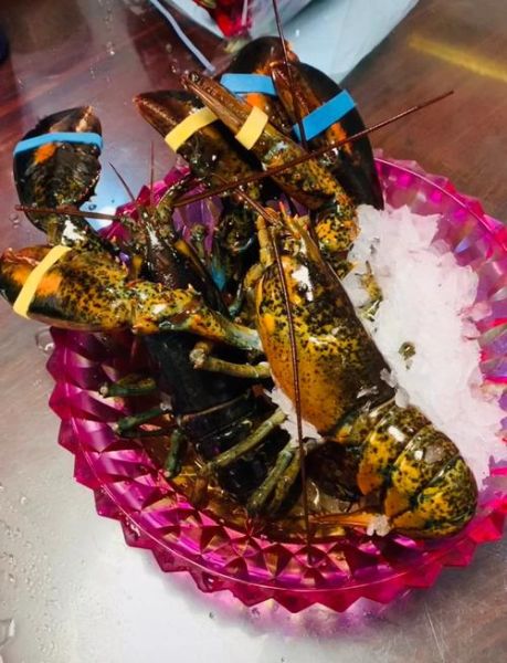 大龙虾怎么做好吃_清蒸大龙虾的做法步骤-第2张图片-山城妙识