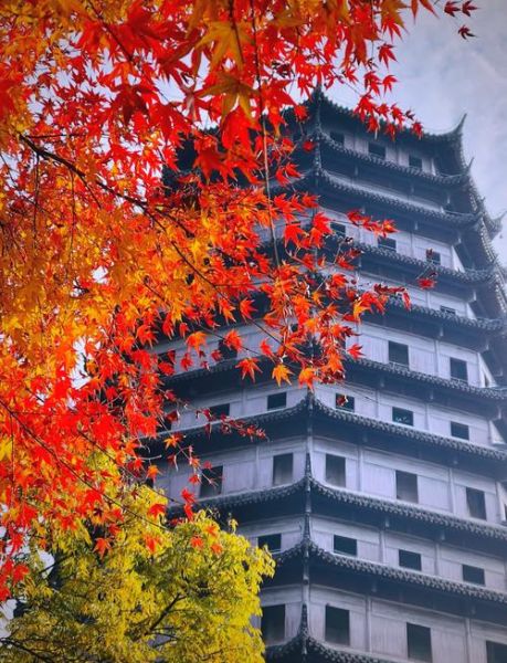 杭州旅游景点排行_杭州必去十大景点有哪些-第3张图片-山城妙识 杭州旅游景点排行_杭州必去十大景点有哪些-第3张图片-山城妙识