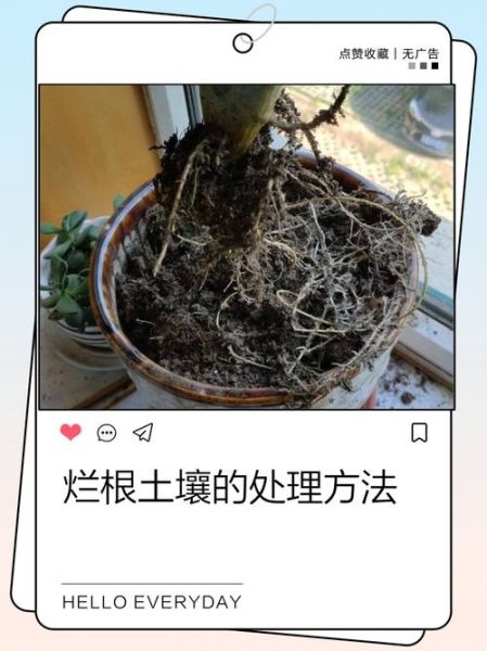 烂地理怎么改善_烂地理能学好吗-第1张图片-山城妙识 烂地理怎么改善_烂地理能学好吗-第1张图片-山城妙识