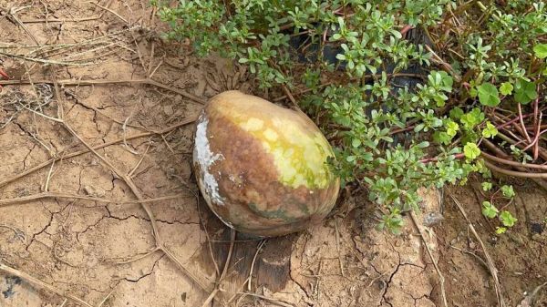 烂地理怎么改善_烂地理能学好吗-第2张图片-山城妙识 烂地理怎么改善_烂地理能学好吗-第2张图片-山城妙识