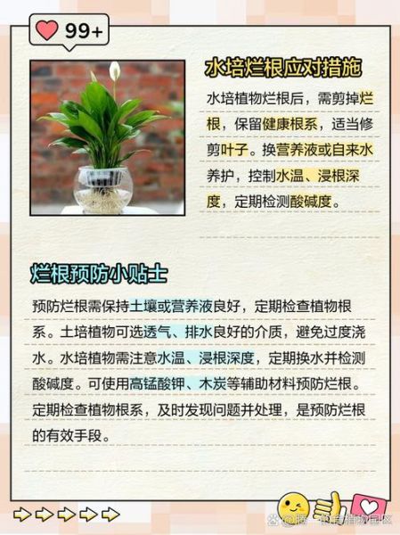 烂地理怎么改善_烂地理能学好吗-第3张图片-山城妙识 烂地理怎么改善_烂地理能学好吗-第3张图片-山城妙识