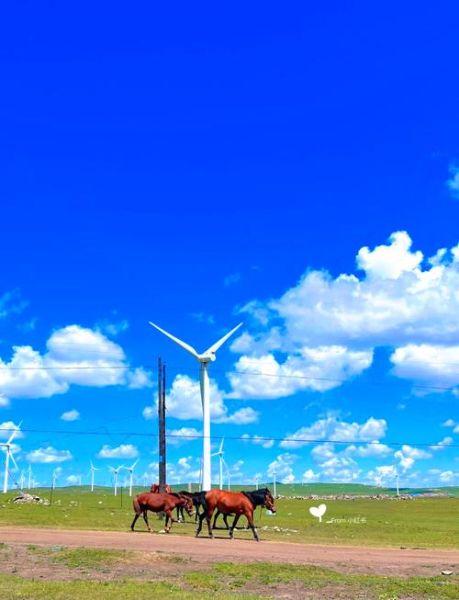 乌兰察布有什么好玩的_乌兰察布旅游攻略必去景点-第2张图片-山城妙识 乌兰察布有什么好玩的_乌兰察布旅游攻略必去景点-第2张图片-山城妙识