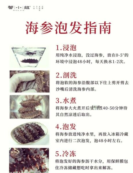 海参怎么泡发_海参的家常做法-第1张图片-山城妙识