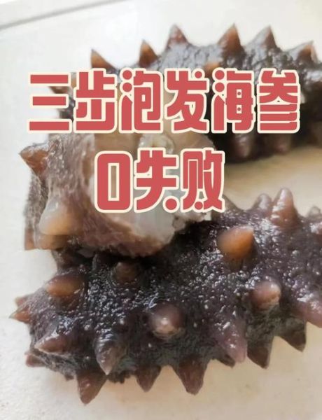 海参怎么泡发_海参的家常做法-第2张图片-山城妙识