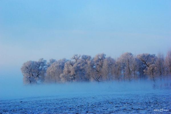 吉林市雾凇哪里看_雾凇岛和松花湖哪个好-第3张图片-山城妙识 吉林市雾凇哪里看_雾凇岛和松花湖哪个好-第3张图片-山城妙识