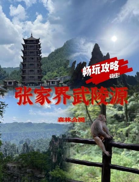 武陵源有哪些景点_武陵源门票多少钱-第2张图片-山城妙识 武陵源有哪些景点_武陵源门票多少钱-第2张图片-山城妙识