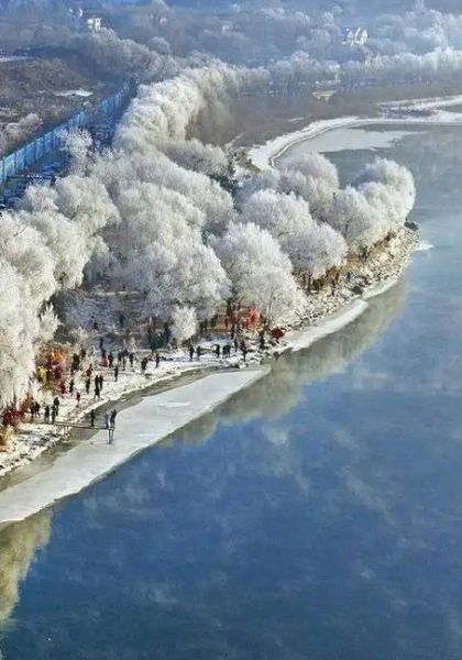 吉林市雾凇哪里看_雾凇岛和松花湖哪个好-第2张图片-山城妙识 吉林市雾凇哪里看_雾凇岛和松花湖哪个好-第2张图片-山城妙识