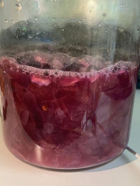 自酿葡萄酒的做法_家庭自酿葡萄酒常见问题-第2张图片-山城妙识