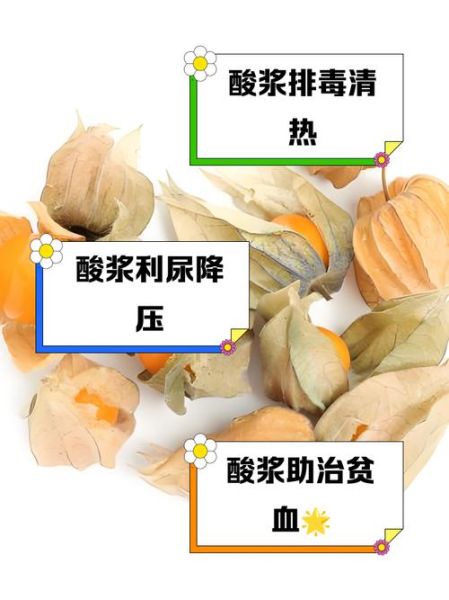 酸浆怎么做好吃_酸浆的做法大全-第1张图片-山城妙识