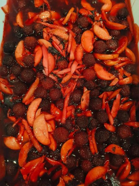 杨梅鸭怎么做_杨梅鸭做法步骤详解-第2张图片-山城妙识