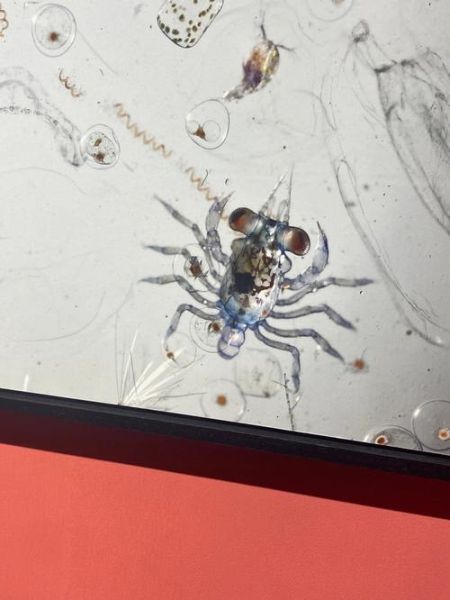 地理摄影大赛怎么报名_参赛技巧有哪些-第1张图片-山城妙识