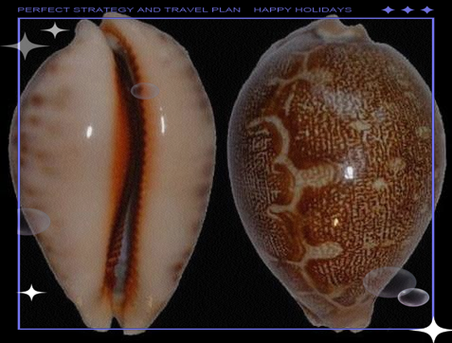 地理螺是什么_地理螺怎么养-第3张图片-山城妙识 地理螺是什么_地理螺怎么养-第3张图片-山城妙识