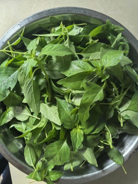 荆芥怎么吃_荆芥的做法大全-第2张图片-山城妙识 荆芥怎么吃_荆芥的做法大全-第2张图片-山城妙识