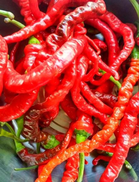 牛肉辣椒酱怎么做最正宗_正宗牛肉辣椒酱配方-第3张图片-山城妙识 牛肉辣椒酱怎么做最正宗_正宗牛肉辣椒酱配方-第3张图片-山城妙识
