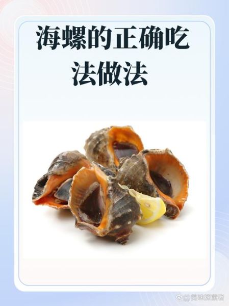 海螺怎么做好吃_海螺做法大全-第1张图片-山城妙识