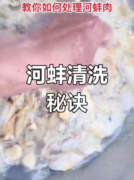 河蚌怎么清洗_河蚌怎么做好吃-第1张图片-山城妙识