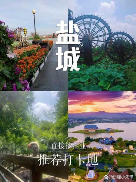 盐城旅游景点推荐_盐城有哪些好玩的景点-第1张图片-山城妙识 盐城旅游景点推荐_盐城有哪些好玩的景点-第1张图片-山城妙识