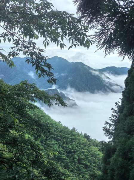 井冈山有哪些景点_井冈山必去景点推荐-第3张图片-山城妙识 井冈山有哪些景点_井冈山必去景点推荐-第3张图片-山城妙识