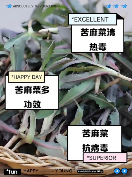 麻菜怎么做_麻菜的家常做法步骤-第2张图片-山城妙识