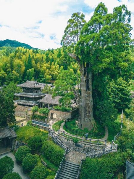 丽水景点有哪些_丽水旅游攻略必去景点-第1张图片-山城妙识 丽水景点有哪些_丽水旅游攻略必去景点-第1张图片-山城妙识