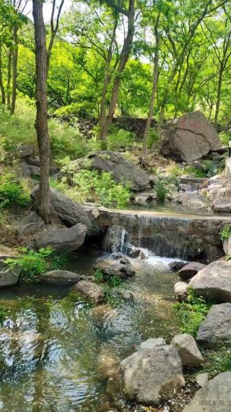 诸城有什么好玩的景点_诸城一日游必去景点推荐-第2张图片-山城妙识