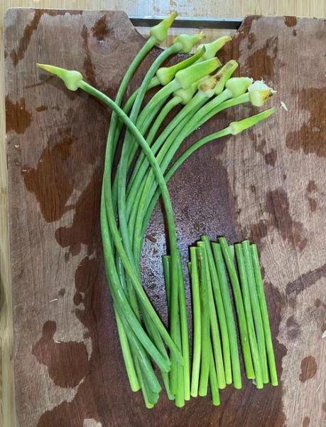 凉拌蒜苔怎么做_蒜苔焯水几分钟才脆绿-第3张图片-山城妙识 凉拌蒜苔怎么做_蒜苔焯水几分钟才脆绿-第3张图片-山城妙识