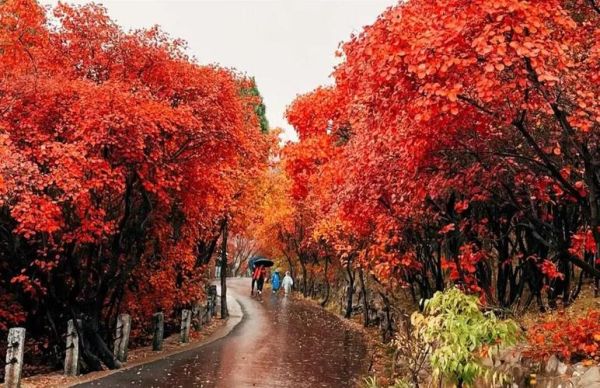 吉林蛟河旅游景点有哪些_蛟河红叶谷几月去最好-第2张图片-山城妙识