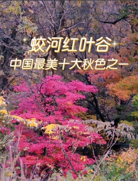 吉林蛟河旅游景点有哪些_蛟河红叶谷几月去最好-第1张图片-山城妙识