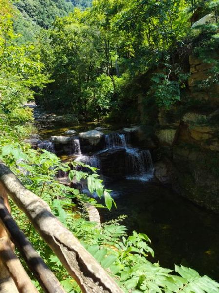 佛坪县旅游景点有哪些_佛坪县旅游攻略必去景点-第1张图片-山城妙识