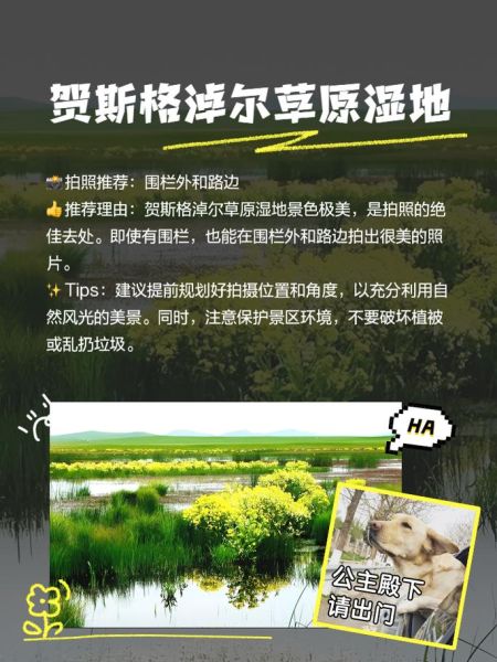 东乌旗有什么好玩的_东乌旗旅游攻略必去景点-第2张图片-山城妙识 东乌旗有什么好玩的_东乌旗旅游攻略必去景点-第2张图片-山城妙识