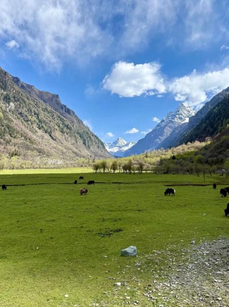 四川周边旅游景点推荐_适合周末自驾去哪里-第3张图片-山城妙识