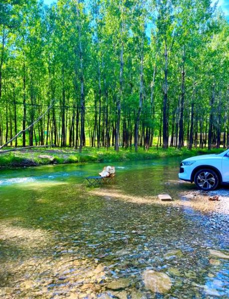 附近公园离我最近免费景点_怎么找-第3张图片-山城妙识 附近公园离我最近免费景点_怎么找-第3张图片-山城妙识