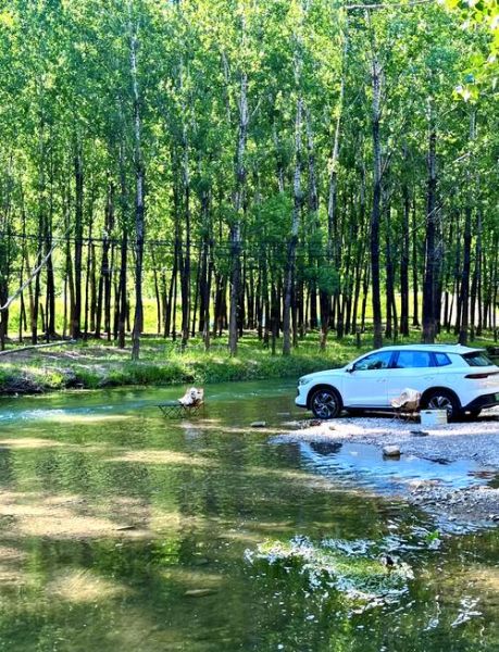 附近公园离我最近免费景点_怎么找-第2张图片-山城妙识 附近公园离我最近免费景点_怎么找-第2张图片-山城妙识