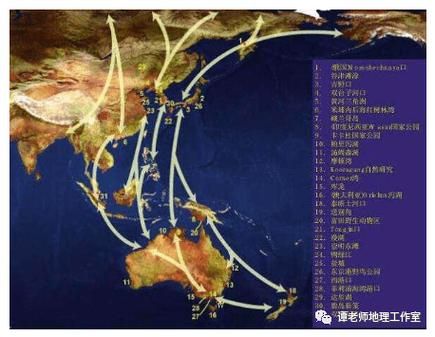 鸟地理分布_鸟类迁徙路线怎么查-第3张图片-山城妙识 鸟地理分布_鸟类迁徙路线怎么查-第3张图片-山城妙识