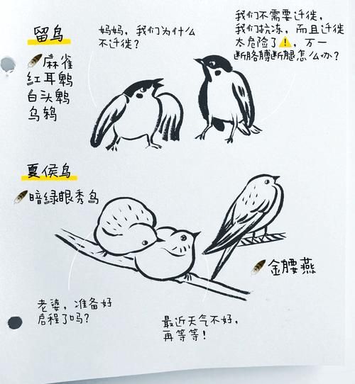 鸟地理分布_鸟类迁徙路线怎么查-第2张图片-山城妙识 鸟地理分布_鸟类迁徙路线怎么查-第2张图片-山城妙识