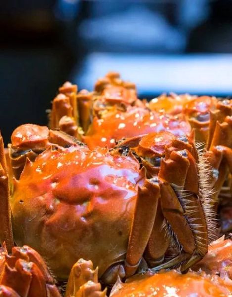 上海哪里买正宗大闸蟹_上海大闸蟹价格一般多少钱-第1张图片-山城妙识