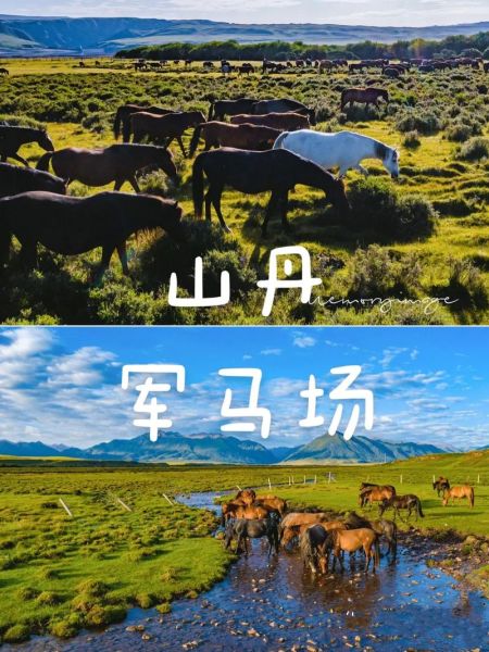 山丹县旅游景点有哪些_山丹军马场值得去吗-第3张图片-山城妙识 山丹县旅游景点有哪些_山丹军马场值得去吗-第3张图片-山城妙识